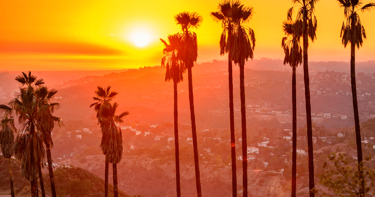 When Care Is Coordinated, Recovery Works: Rhea Grier’s Journey | 211LA